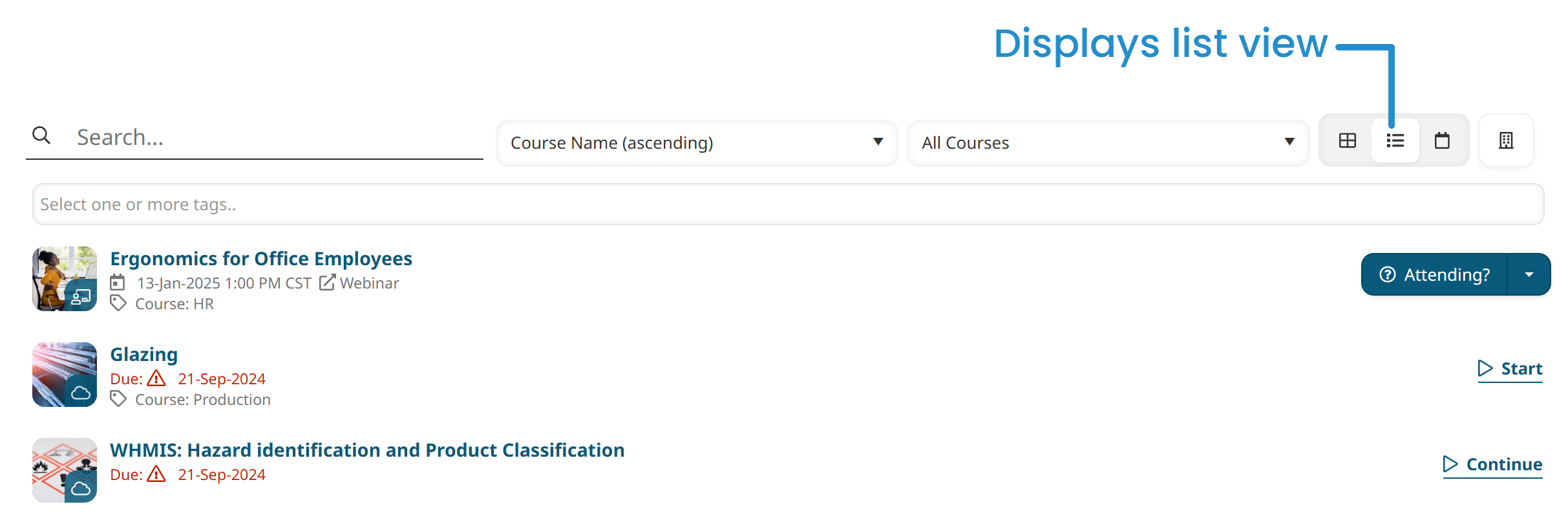 Learner Interface: Course List View